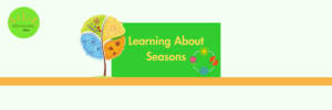 15 Activities for Learning About Seasons – Little Learning Ideas